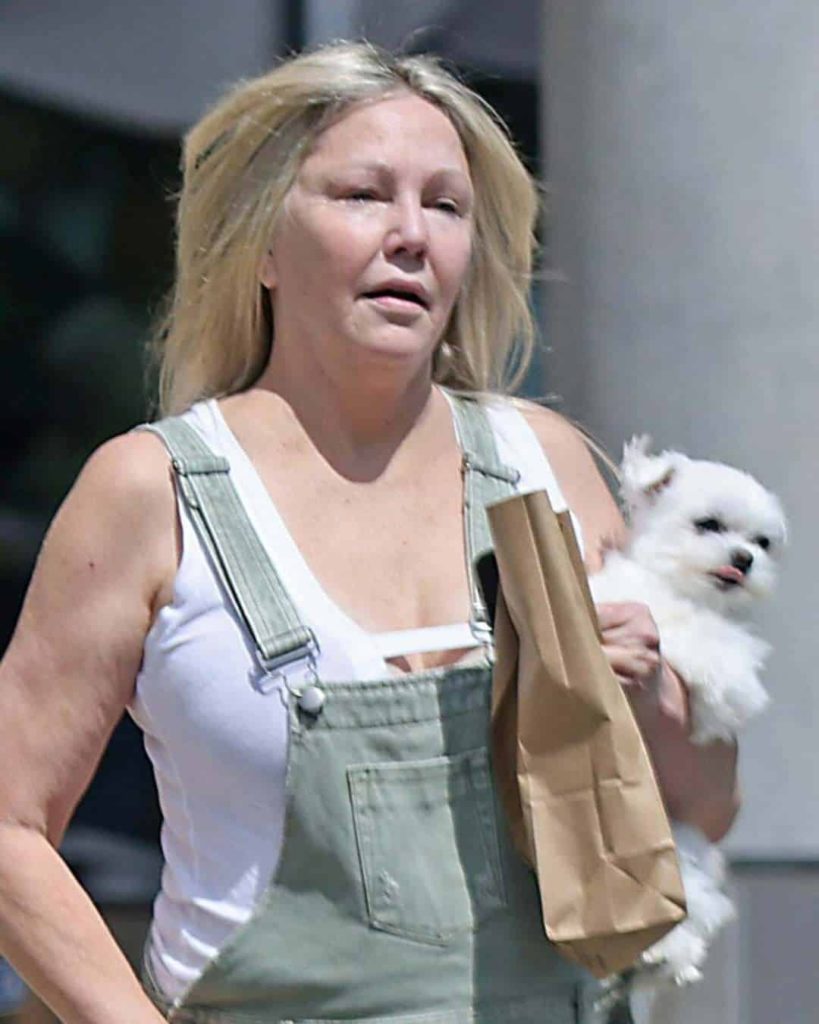 Neispričano putovanje Heather Locklear: od zlatne djevojke Hollywooda ...